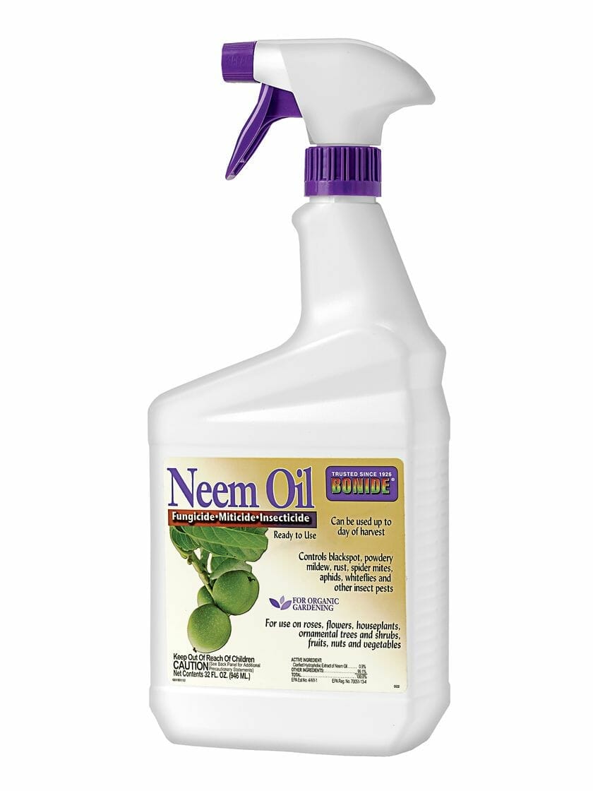 10 Best Neem Oil Spray For Plants In 2023 - The Wrench Finder